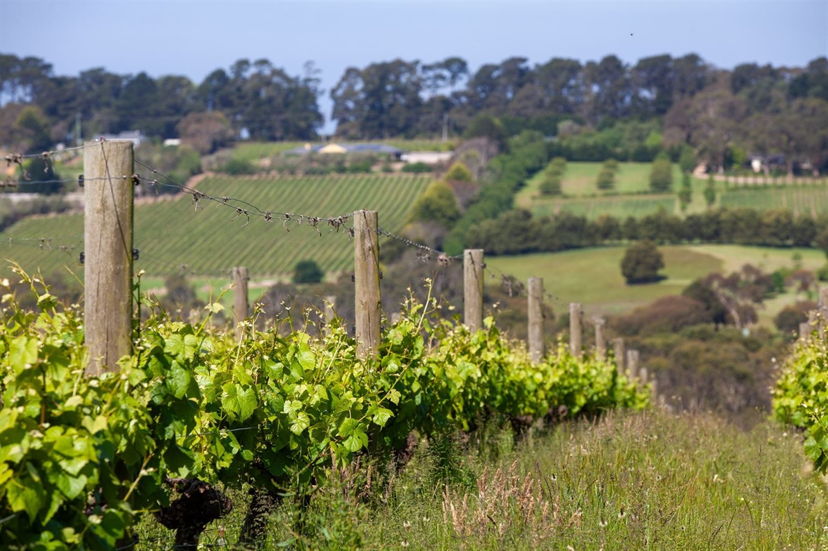 Green Wedge Management and Protection - Mornington Peninsula Shire