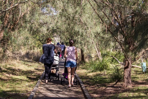 Beautiful walks at The Briars - Mornington Peninsula Shire
