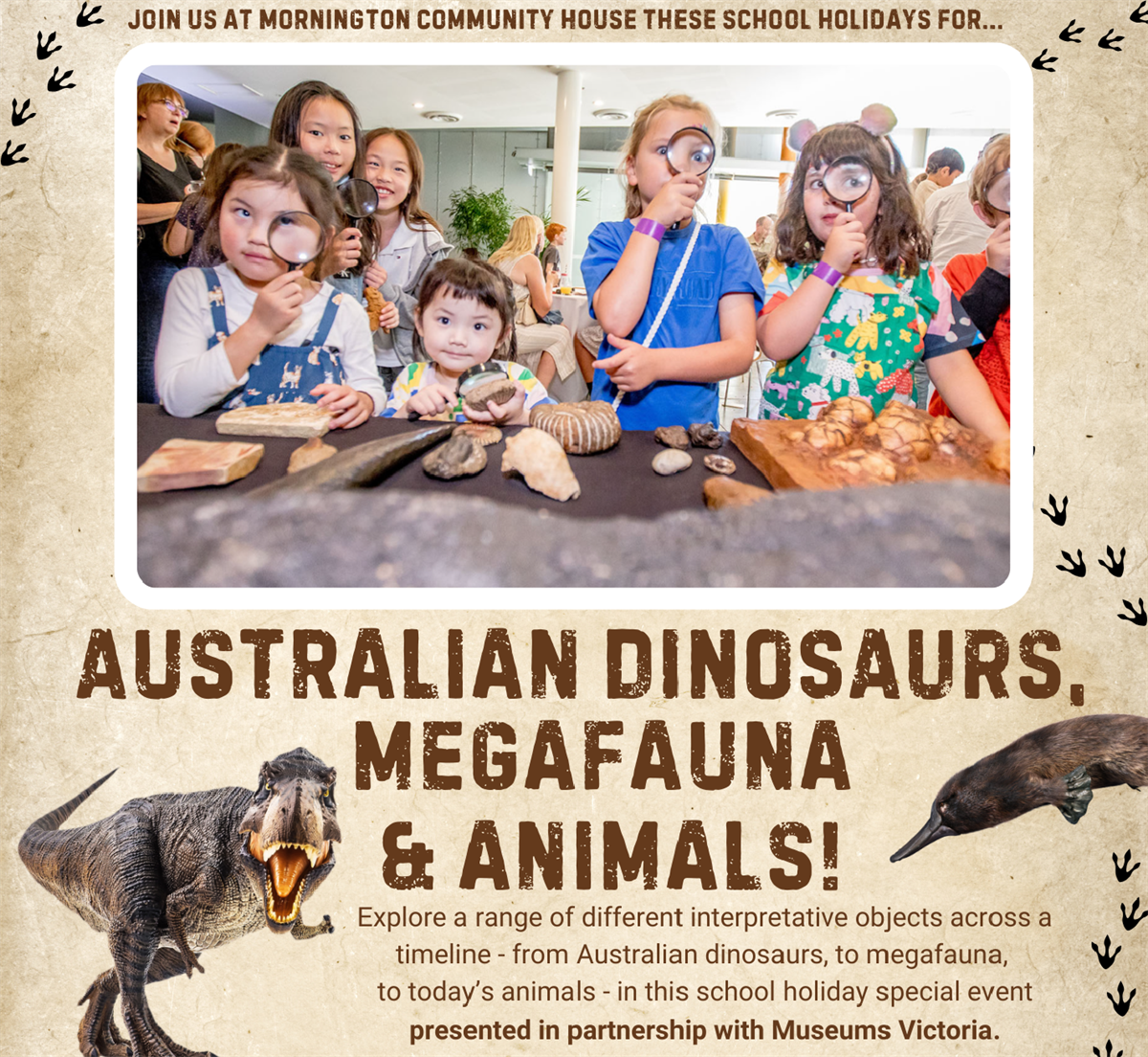 Australian Dinosaurs, Megafauna and Animals: Museums Victoria School H ...