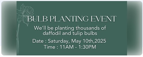 Bulb Planting Event - Mornington Peninsula Shire