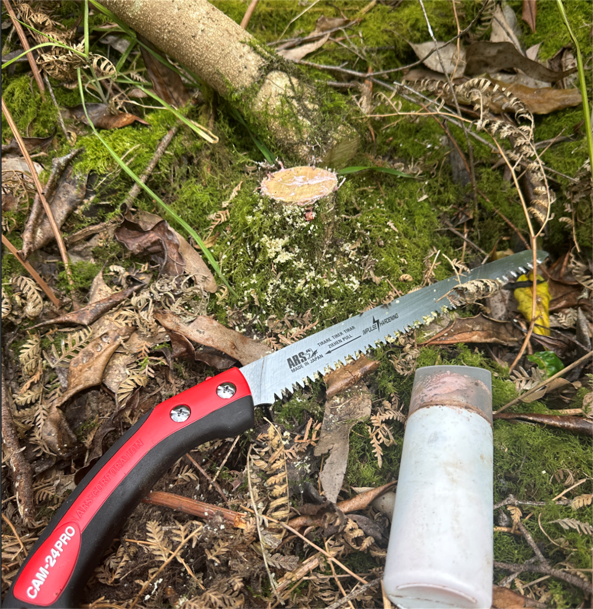 How to develop a well thought out Weed Management Plan - Mornington ...