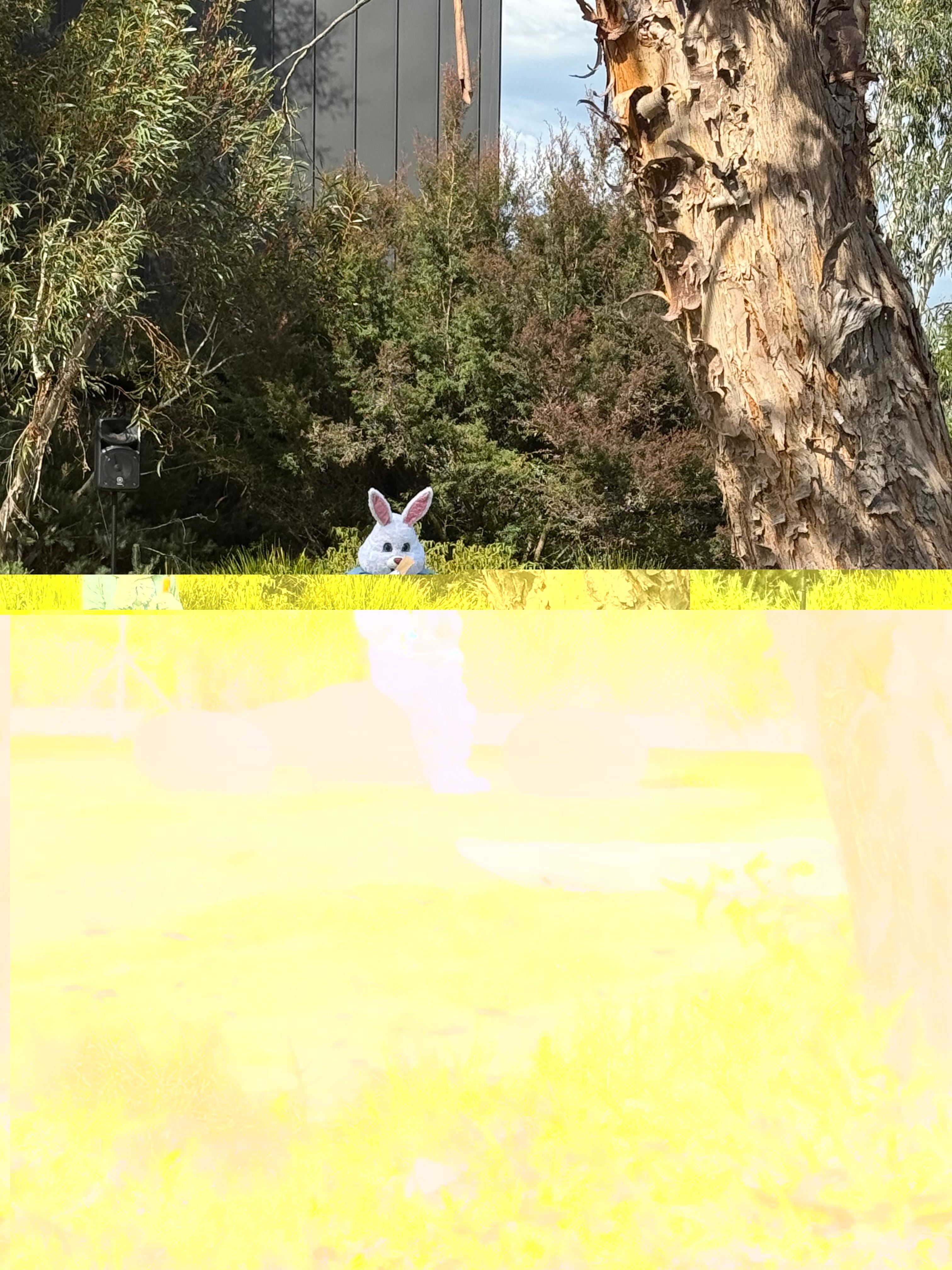 Rare Hare Annual Easter Egg Hunt - Mornington Peninsula Shire